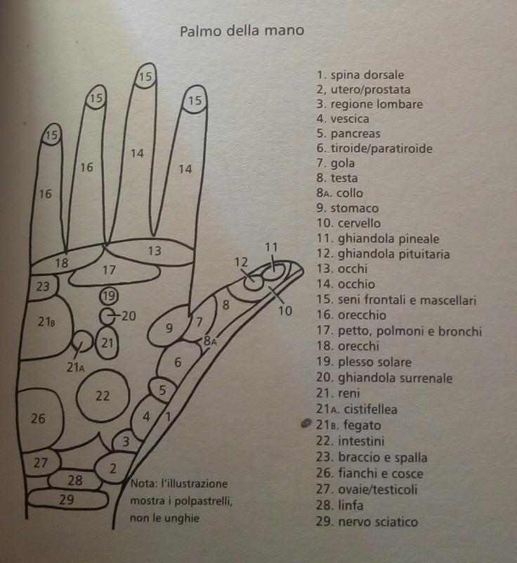 Riflessologia palmare