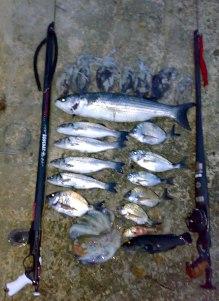 Prova Beuchat marlin carbon elite 105