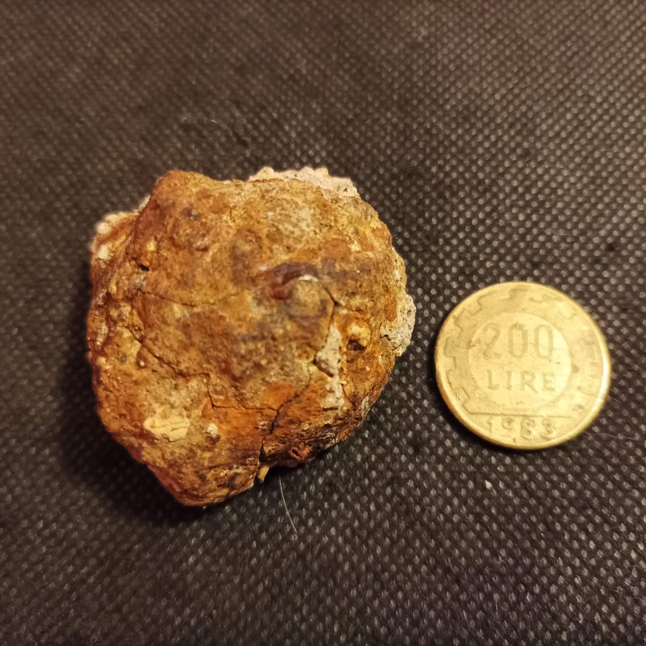 Forse ci siamo secondo Voi è un meteorite?